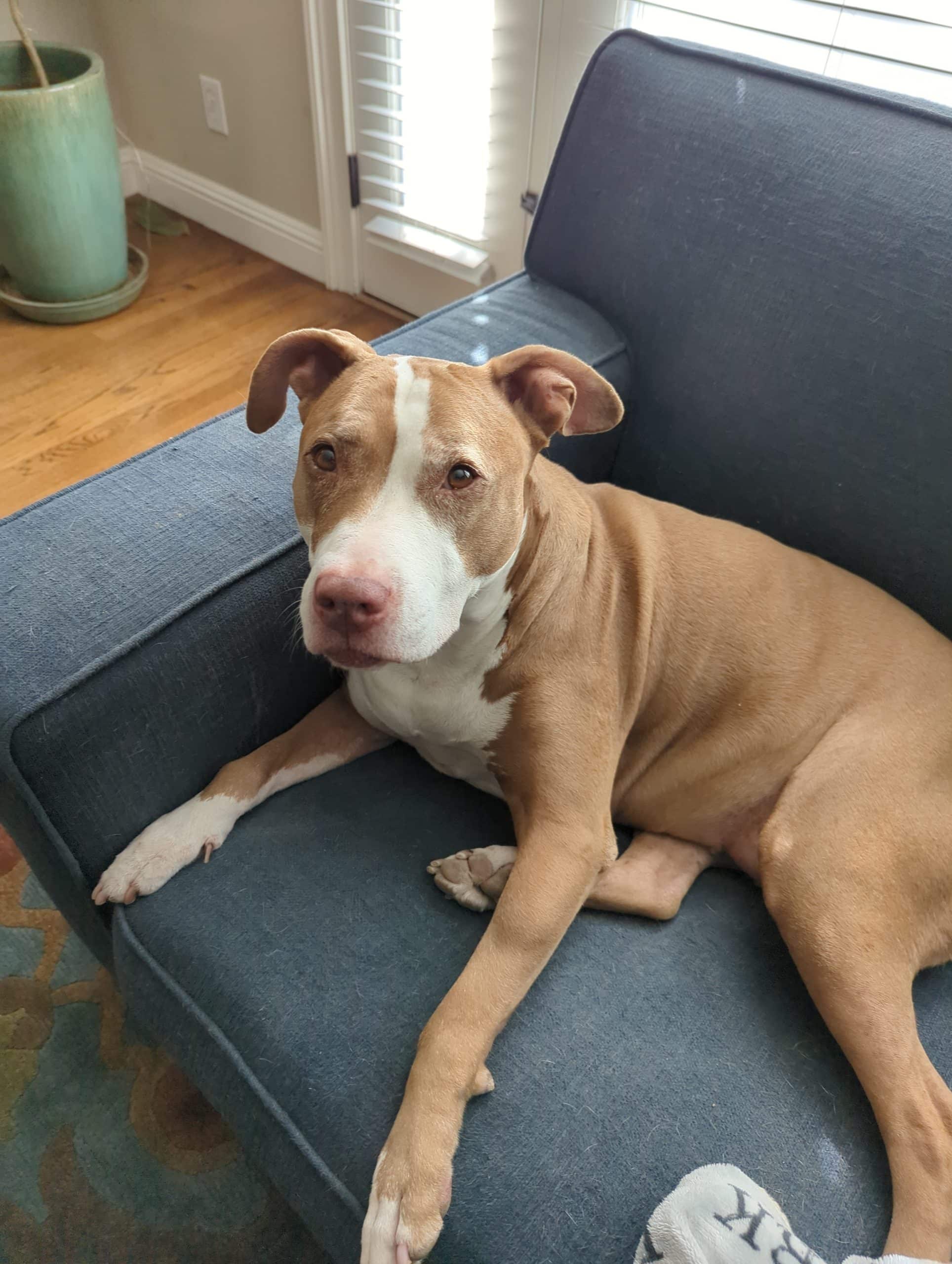 i will miss her forever – WIL WHEATON dot NET